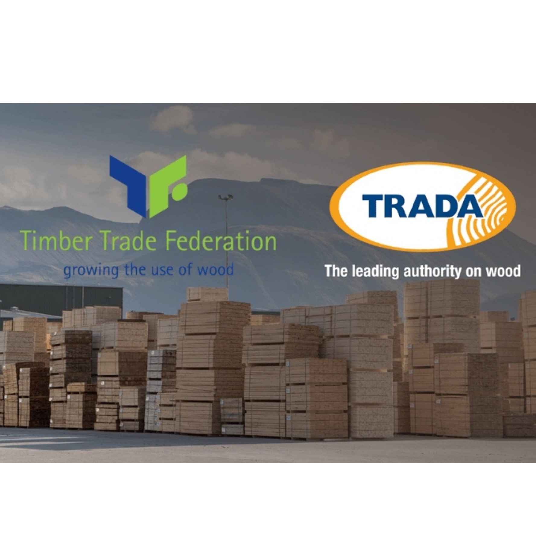 Timber Trade Federation and TRADA announce MOU for aligned strategy and ...